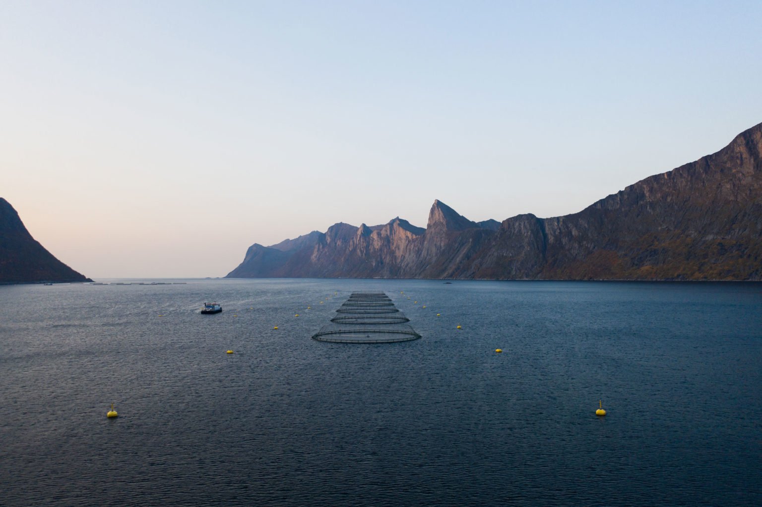 SalMar Today - Salmar