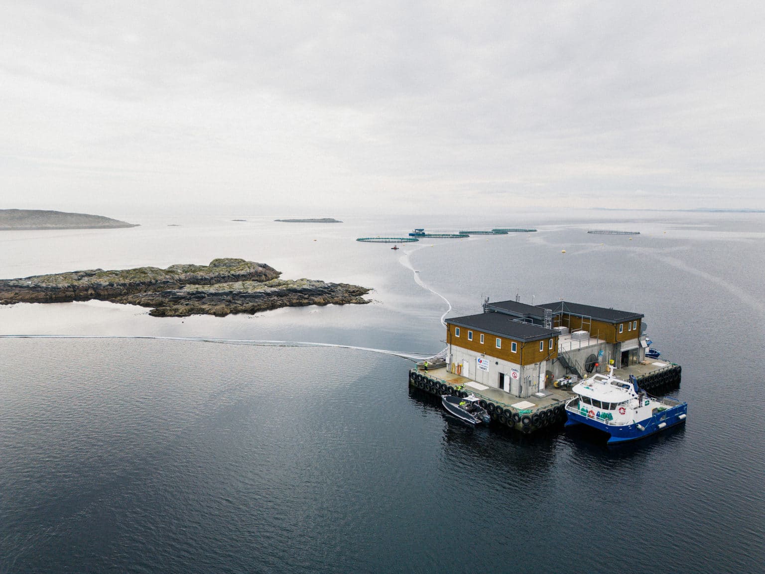 SalMar - Passion for Salmon