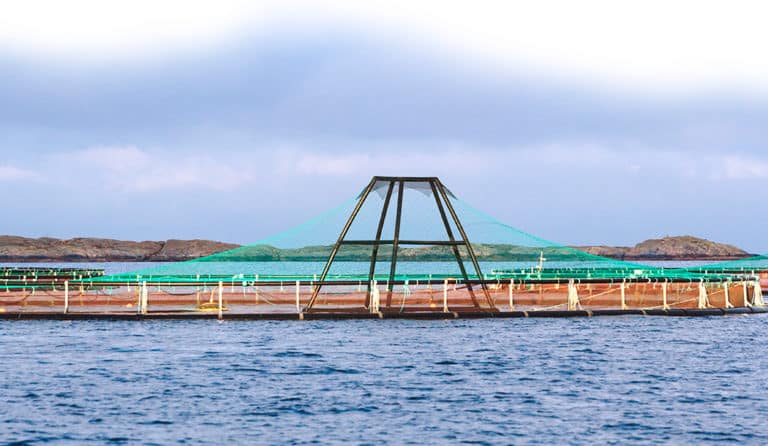 Our History - Salmar