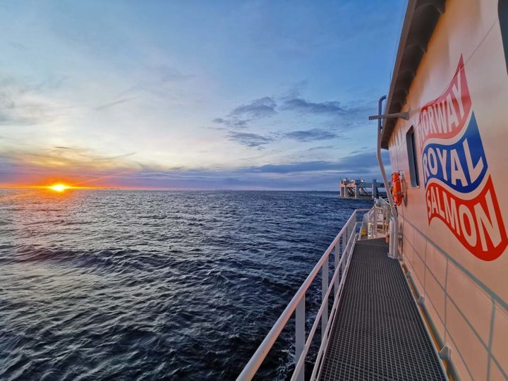 Our History - Salmar