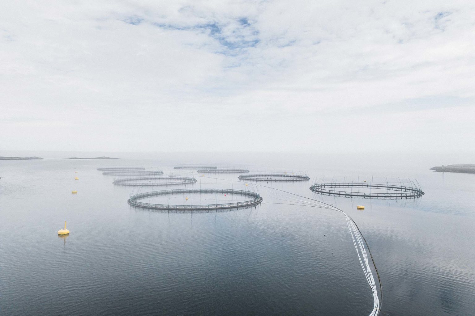 This is Salmon Farming - Salmar
