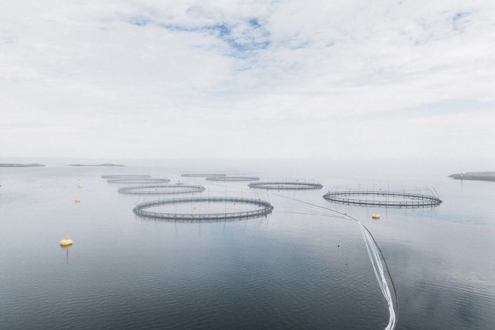This is Salmon Farming - Salmar