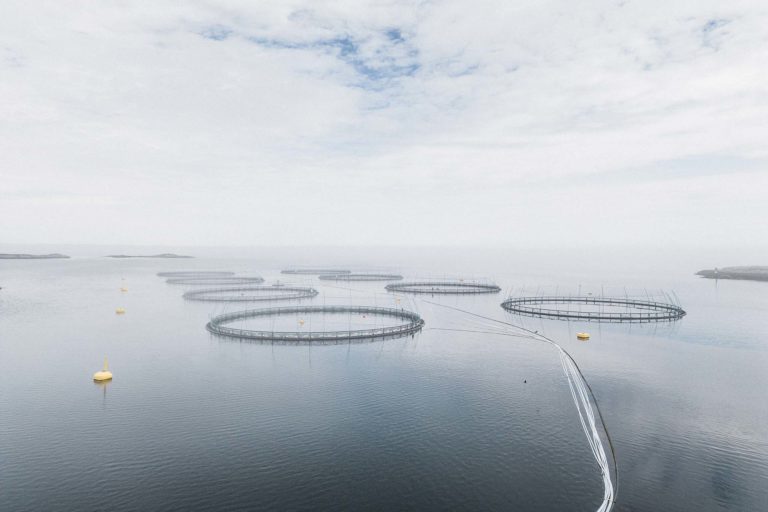 This is Salmon Farming - Salmar