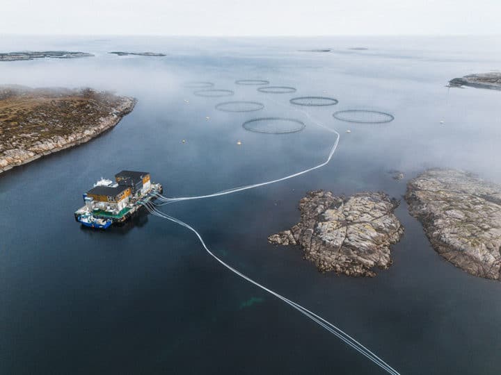 SalMar’s Operating Areas - Salmar