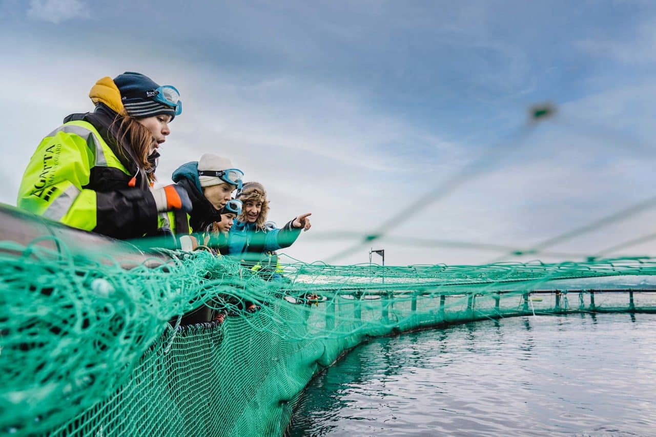 Visitor Centers - Salmar