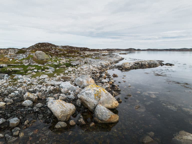 Contact and Press - Salmar